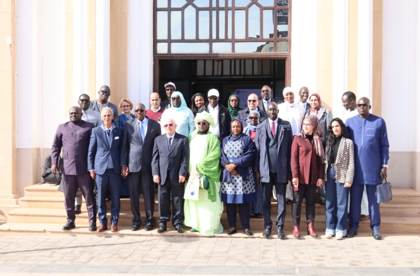 Mission économique de la CCIAD à Agadir : renforcer les partenariats ...