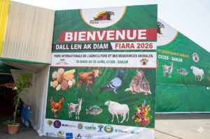 Prolongation de la FIARA 2026 : De nouvelles opportunités pour les ...